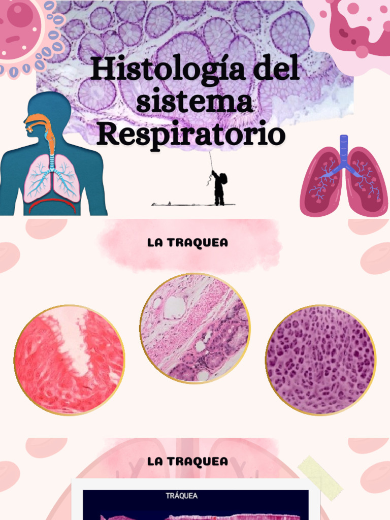 Pink Red Playful Biology Circulatory System Group Project Presentation ...