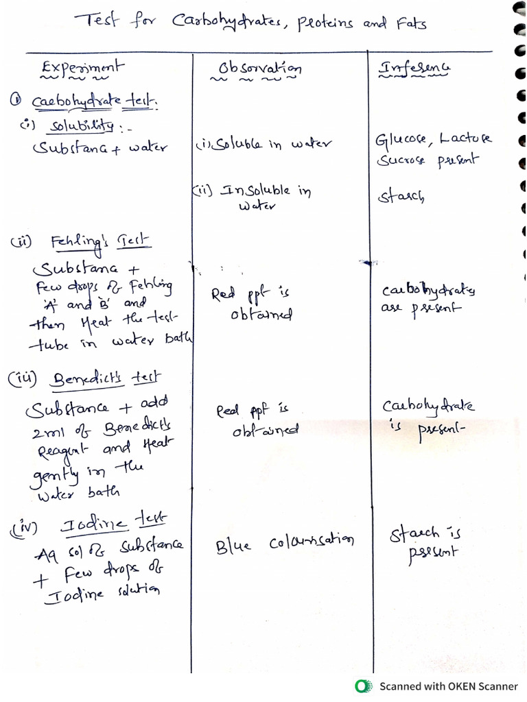 Food Test Practical | PDF
