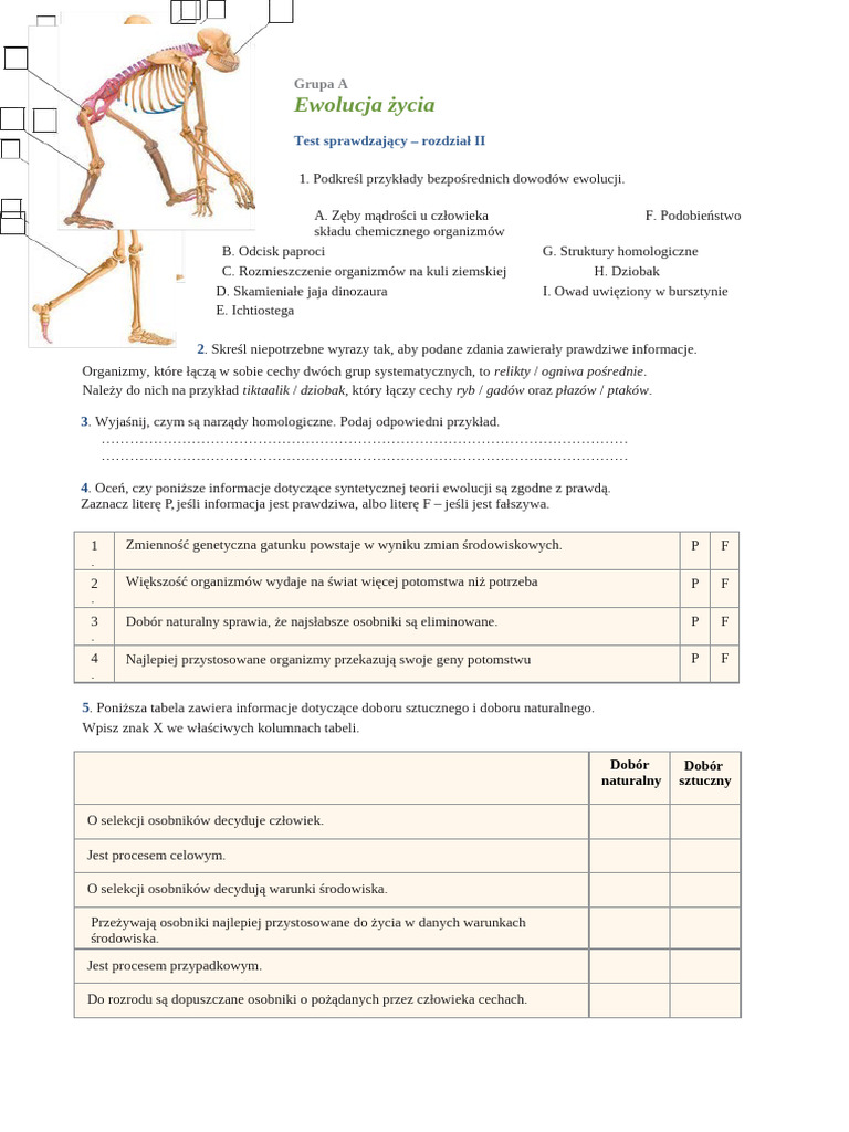 Test Po Dziale 2 Ewolucja Zycia | PDF