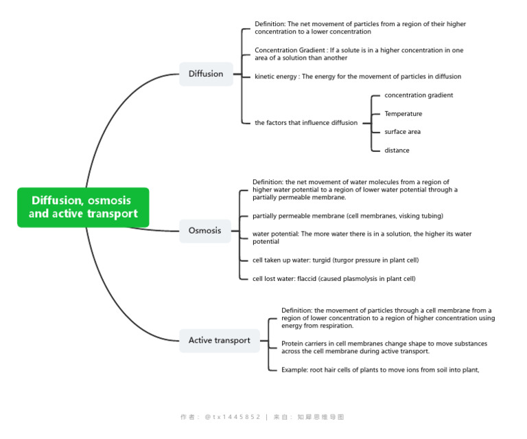 Diffusion, Osmosis, and Active Transport Explained | PDF | Osmosis ...