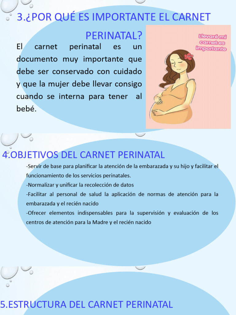 Importancia y Estructura del Carnet Perinatal | PDF | Parto | El embarazo