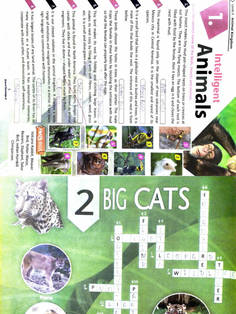 Animal Intelligence and Behavior Insights | PDF | Organisms | Zoology