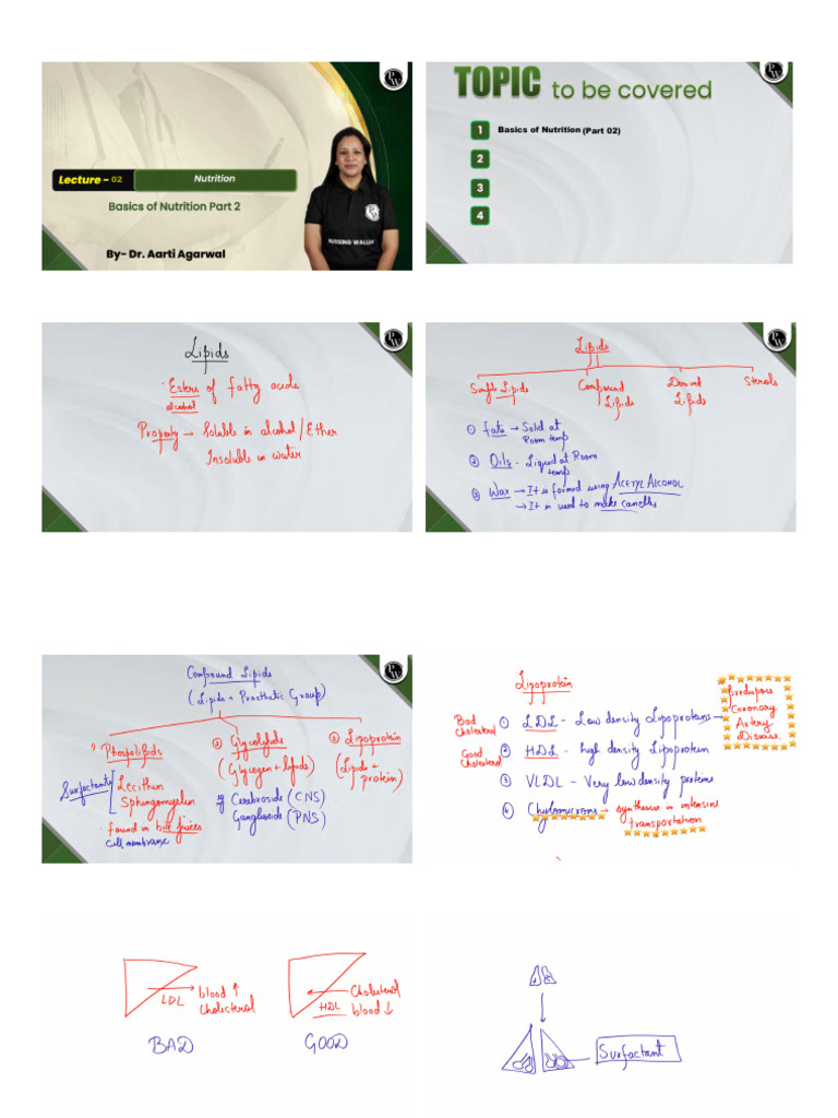Basics of Nutrition 02 Class Notes (9 Files Merged) | PDF