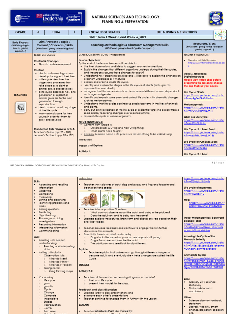 Lesson Plan GR 6 Natural Sciences and Technology T1 W5&6 | PDF | Seed ...