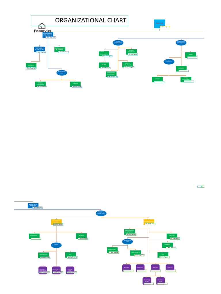 Nvf - Organizational Chart | PDF