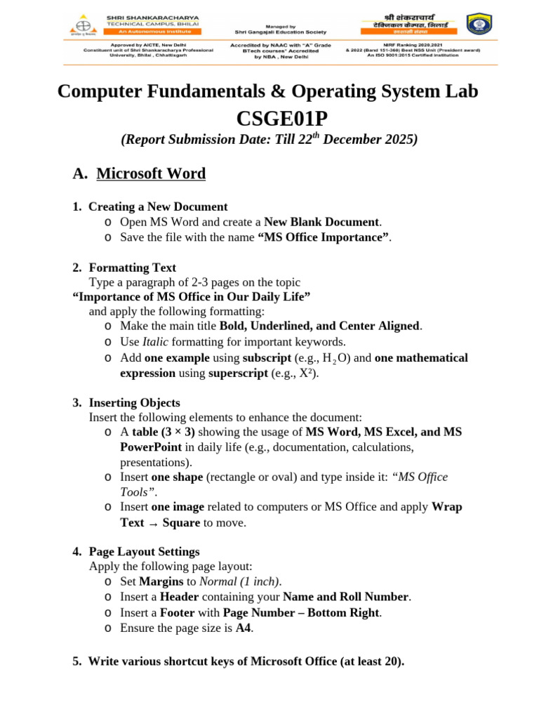 Computer Lab Report: MS Office Skills | PDF | Microsoft Word ...