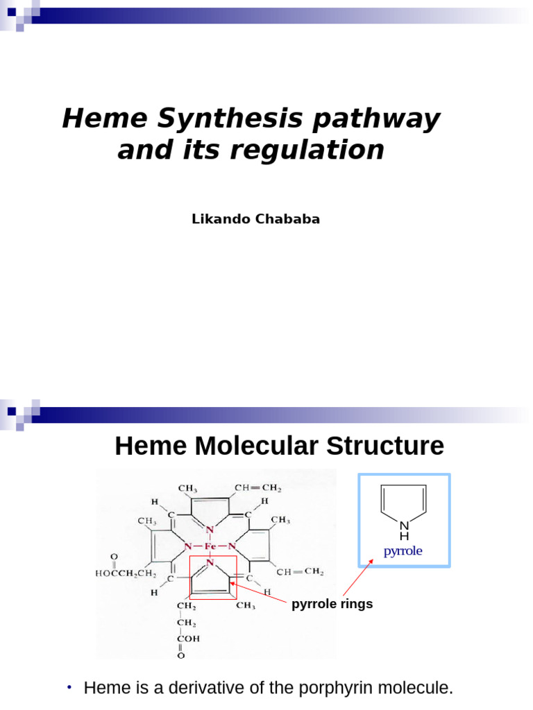 Heme Synthesis Pathway Overview | PDF | Porphyrin | Biosynthesis