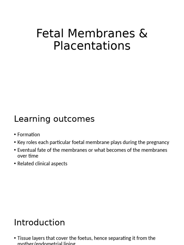 Fetal Membranes and Placenta Overview | PDF | Placenta | Fetus