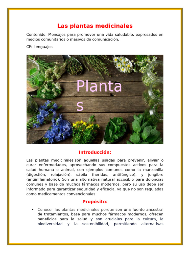 Beneficios de las Plantas Medicinales | PDF