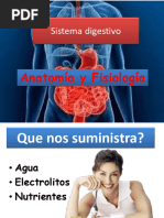 Reflejos Digestivos: Gastroileal e Ileocólico | PDF