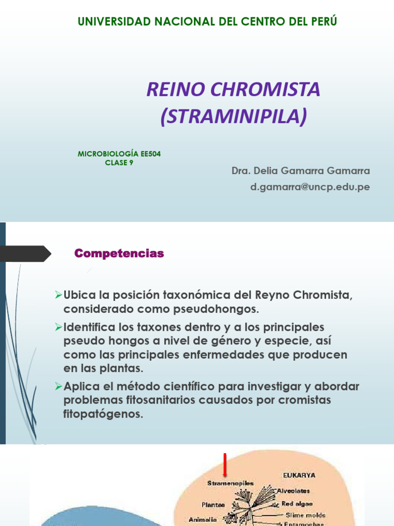 Reyno Chromista Pseudohongos Chromistas | PDF | Algas | Biología