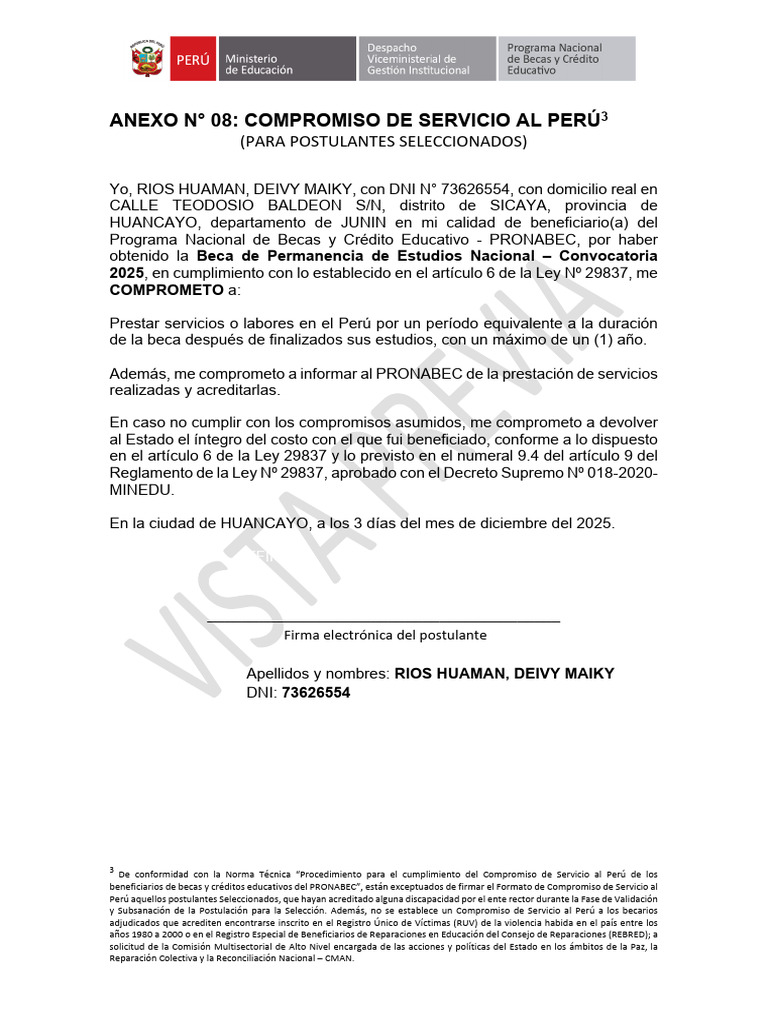 Formato de Compromiso de Servicio Al Perú | PDF