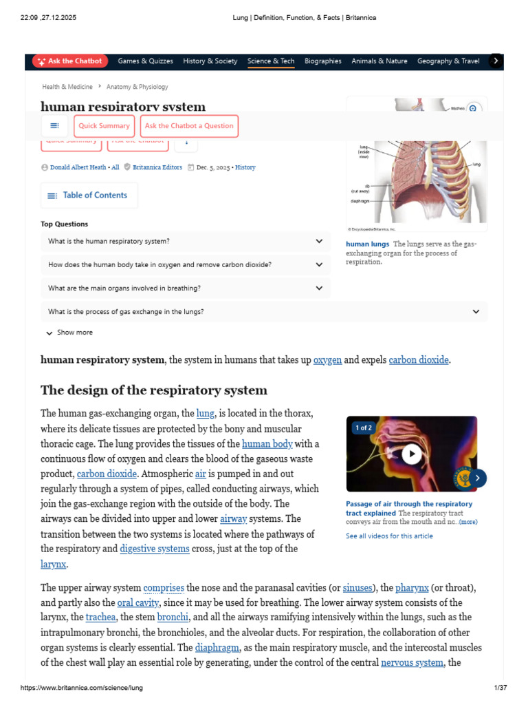 Lung _ Definition, Function, & Facts _ Britannica | PDF