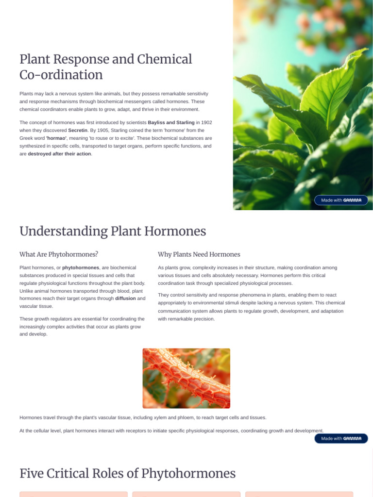 Plant Response and Chemical Co Ordination | PDF | Plant Hormone | Auxin