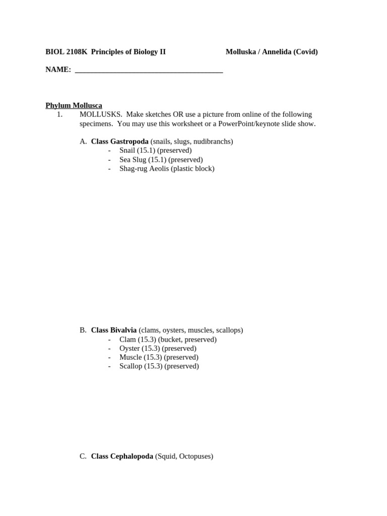 Molluska Annelida Lab 2021 | PDF
