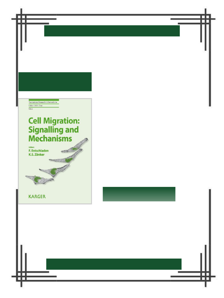 Cell Migration Signalling and Mechanisms Translational Research in ...