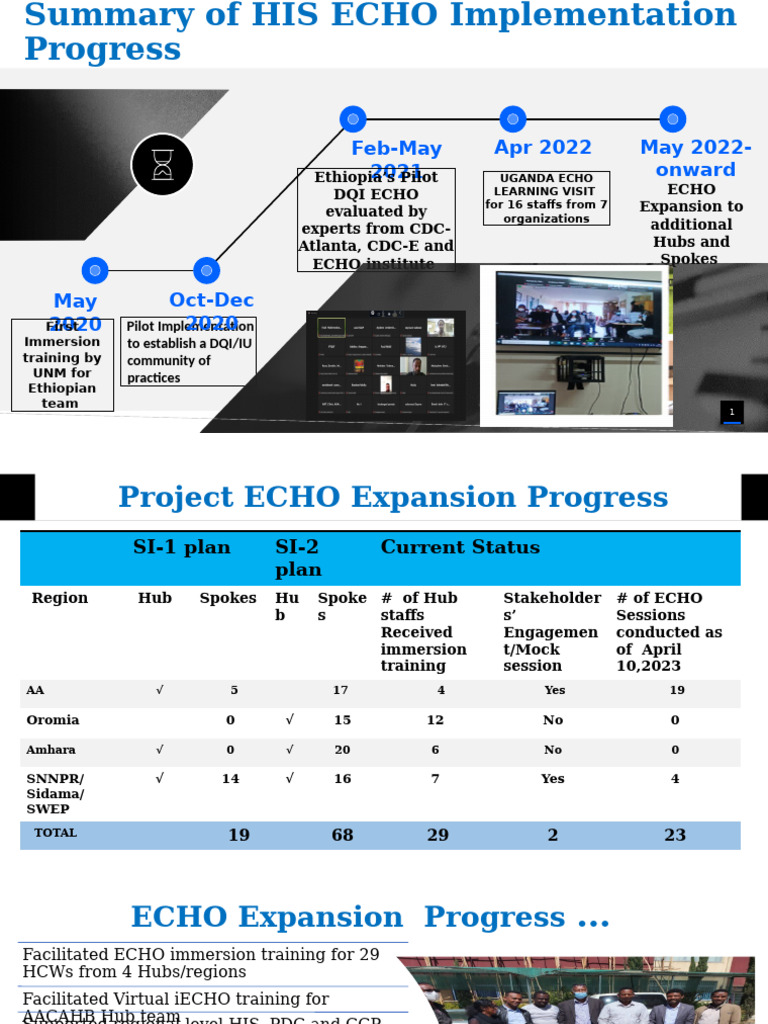Echo | PDF