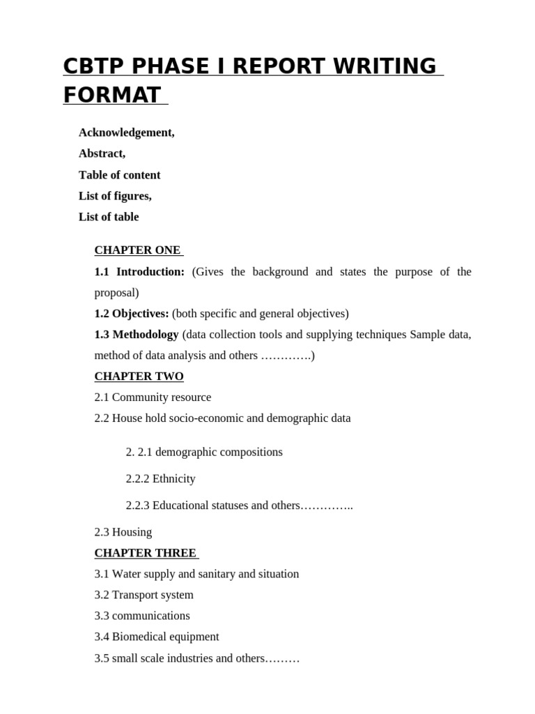 CBTP Report Writing Format- Phase 1 | PDF