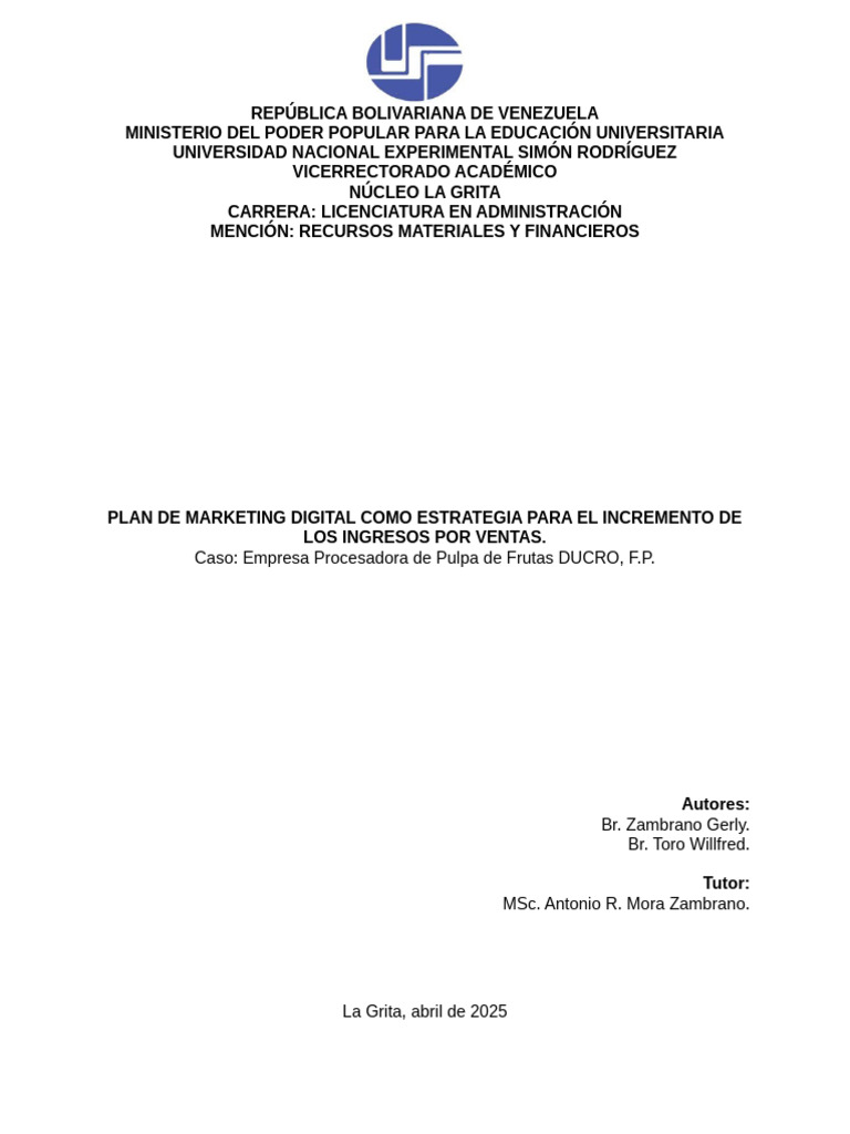 Plan de Marketing Digital para DUCRO | PDF | Marketing | Publicidad digital