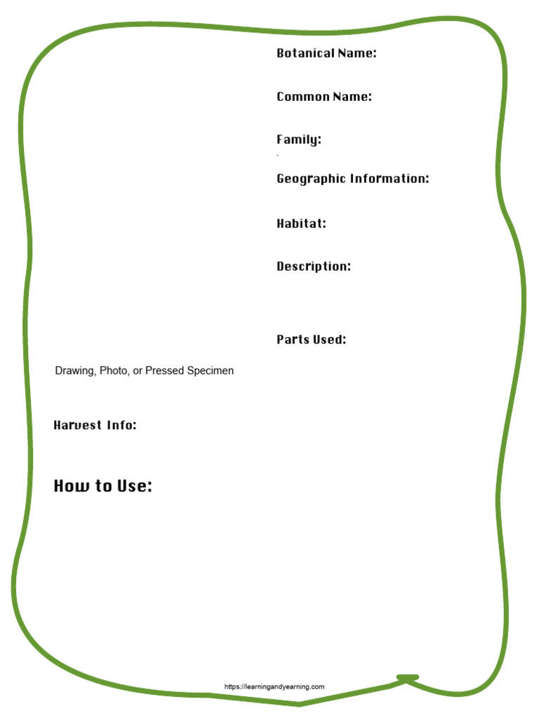 Blank Monograph Form | PDF