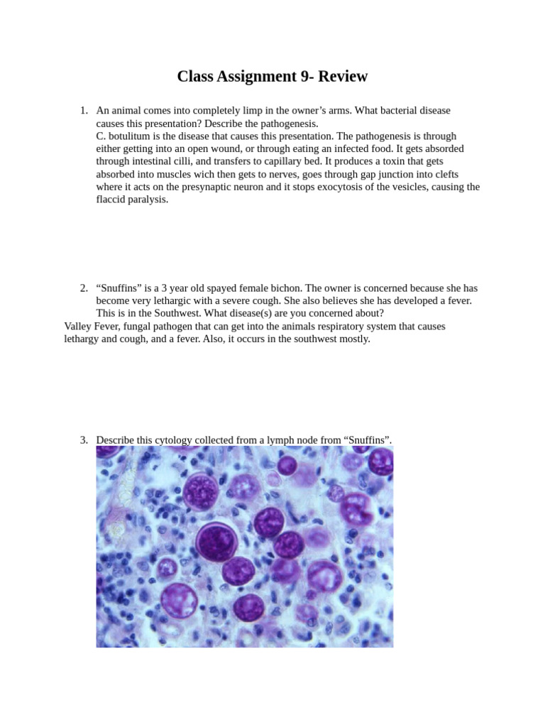 Class Assignment 9- Review | PDF | Cell Nucleus | Neoplasms
