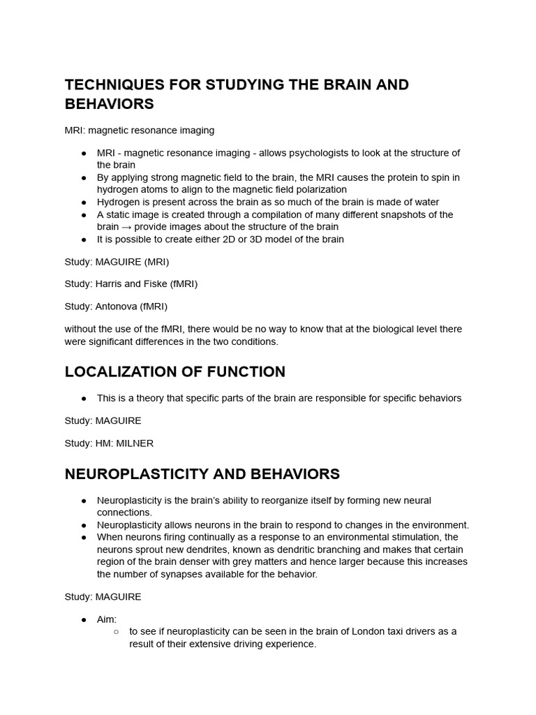 IB psychology biological approach (some notes) | PDF | Neurotransmitter ...