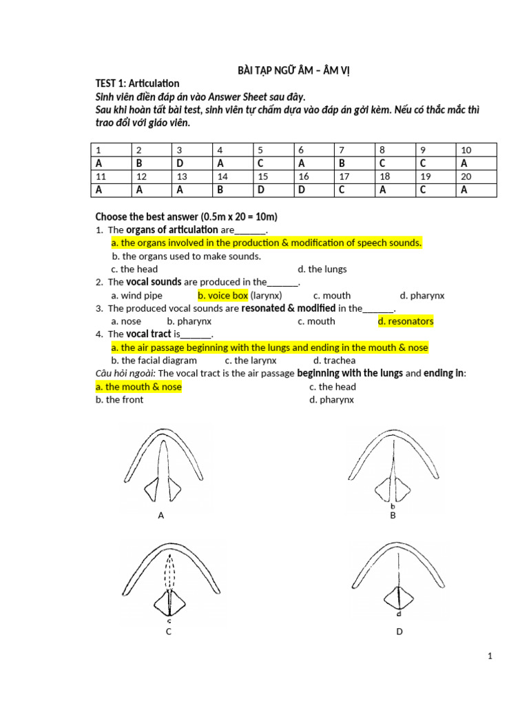 Phono TEST 1 Answer | PDF | Otorhinolaryngology | Sound Production