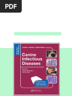 (Ebook) Italian Grammar by Marcel Danesi ISBN 9780764120602, 0764120603 ...