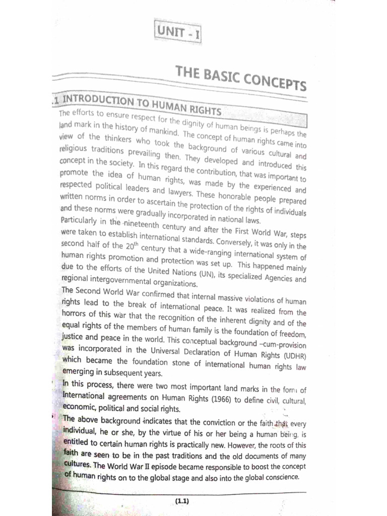 Basic Human Rights.... ! | PDF