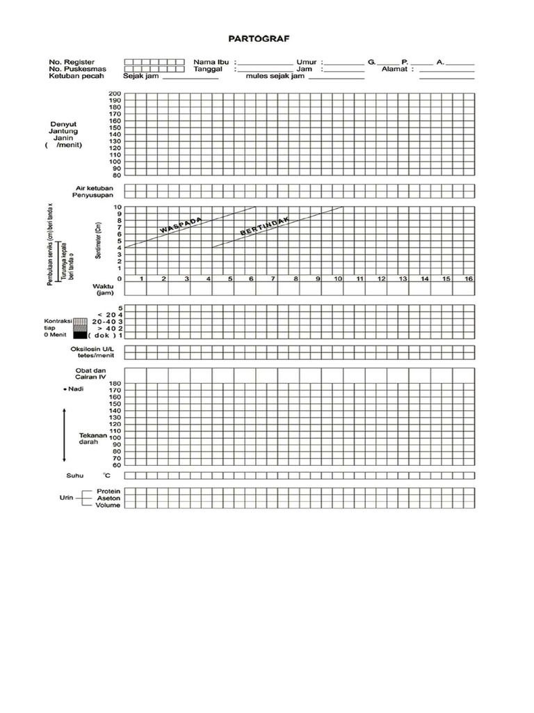 Format Partograf | PDF