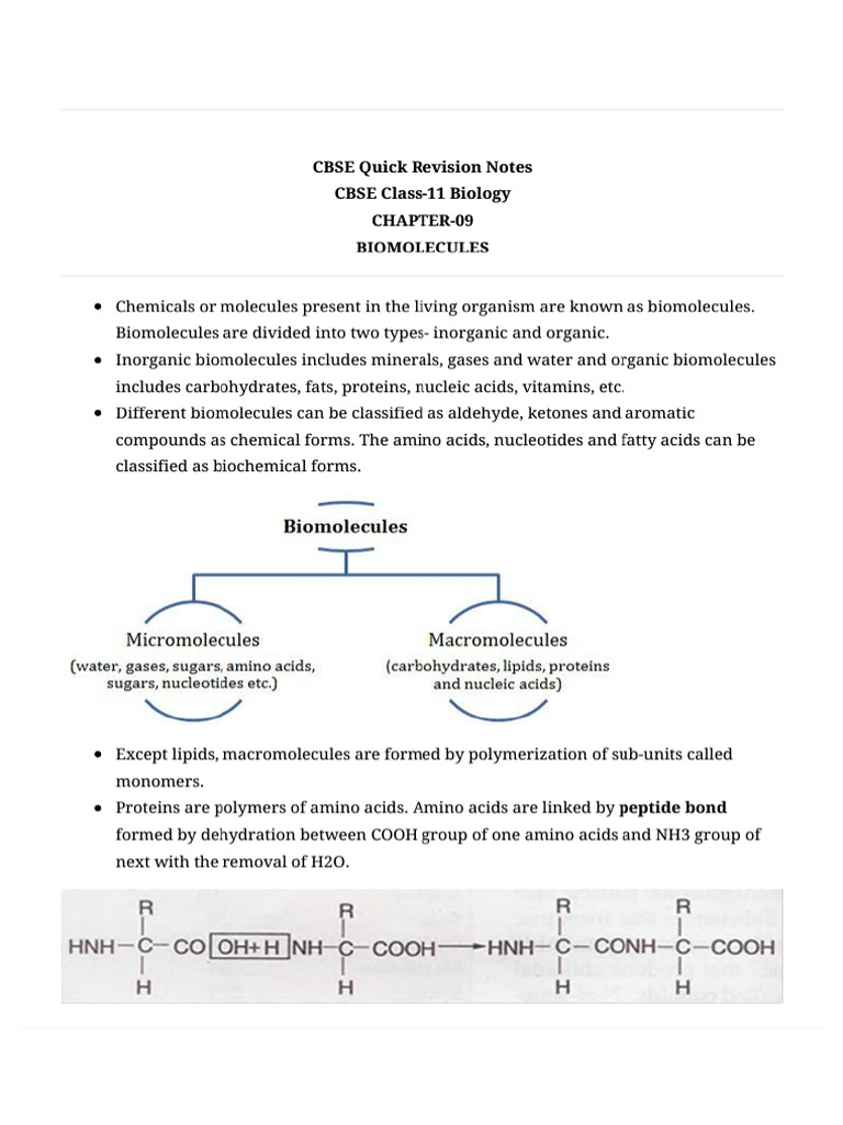 CH - 9 Biomolecules | PDF