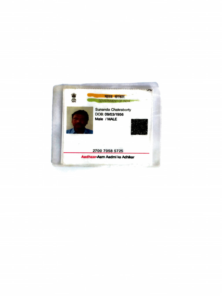 Aadhaar Identification Document Details | PDF