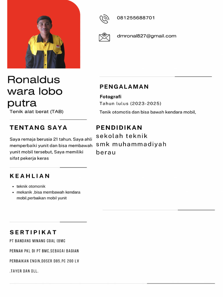 CV Ronaldus Wara Lobo | PDF