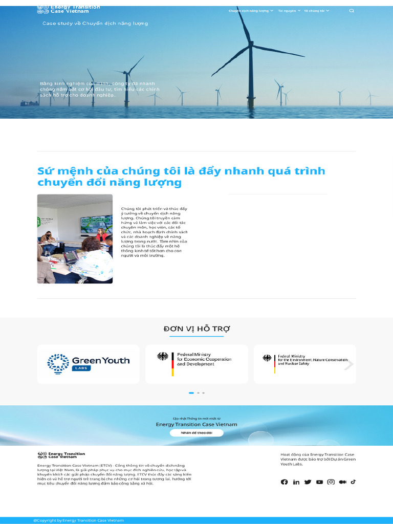 Energy Transition Case Vietnam - Web | PDF