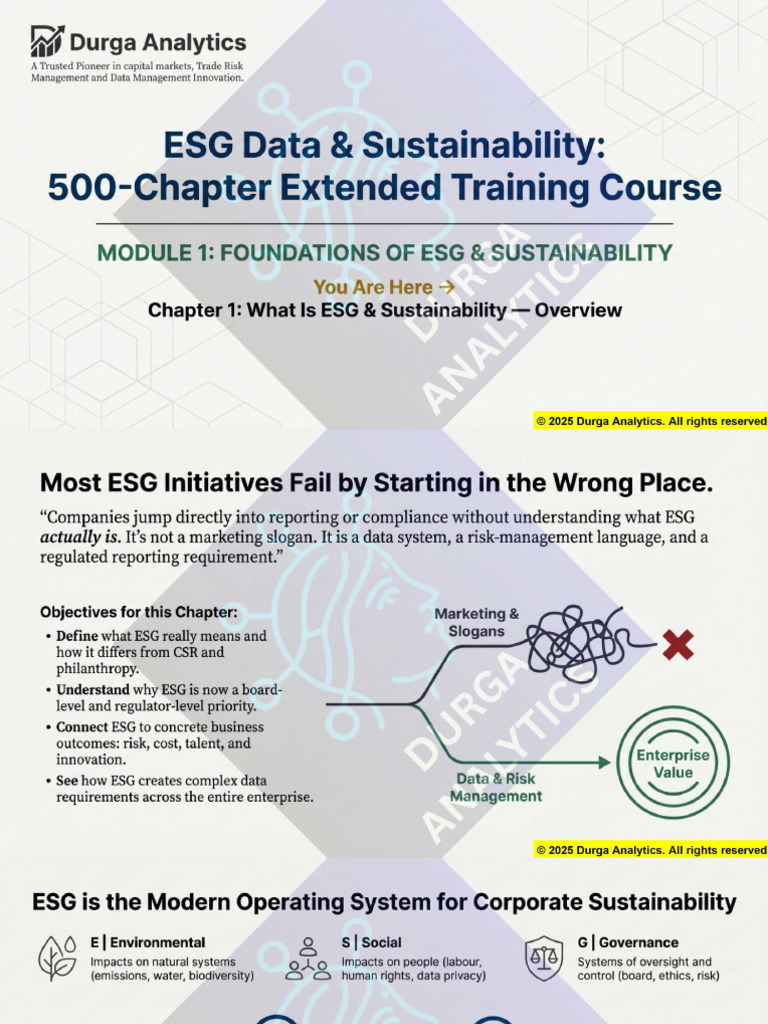 Chapter 1 - What Is Esg & Sustainability | PDF