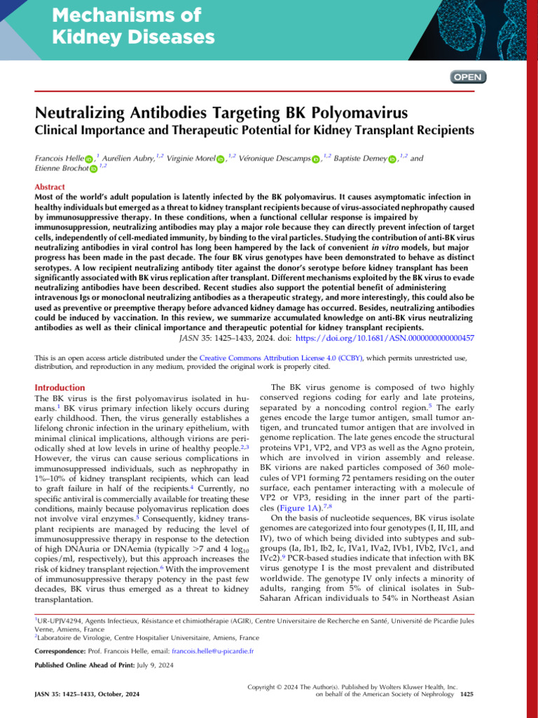 Neutralizing Antibodies Targeting Bk Polyomavirus .15 | PDF | Virus ...