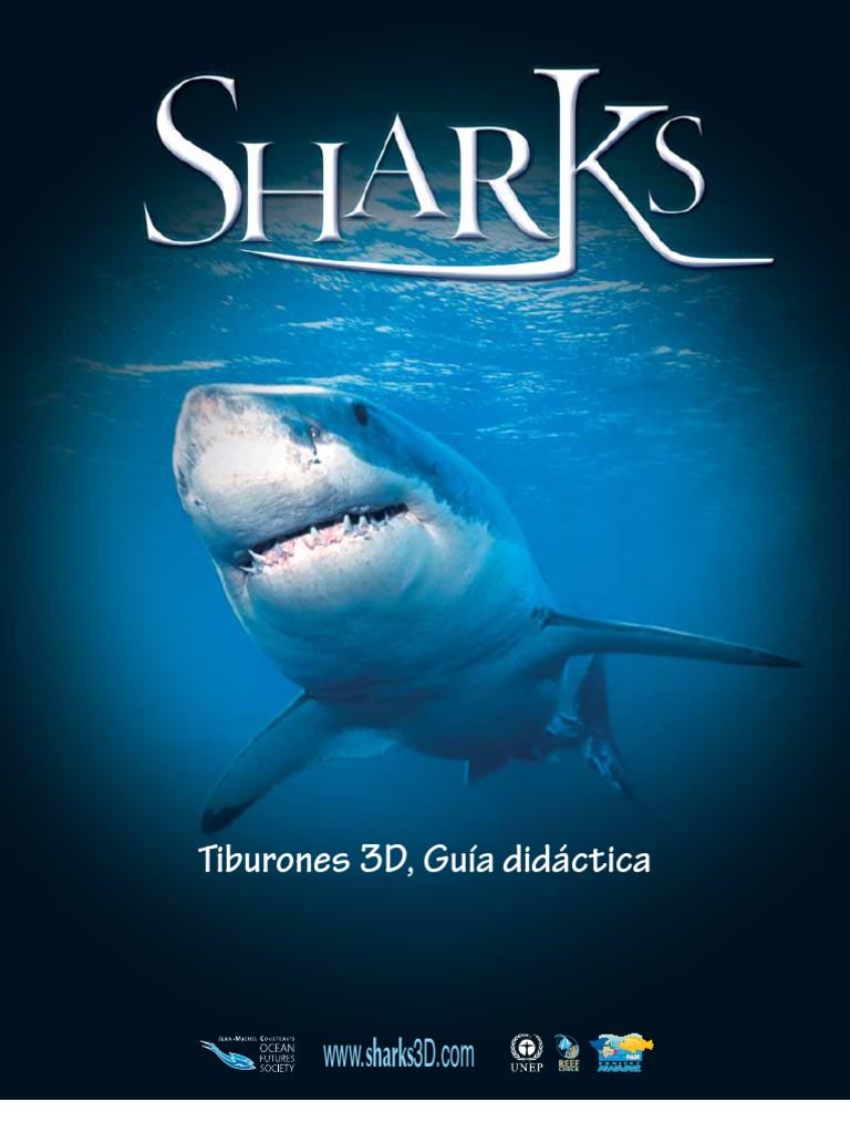 Tiburones Guia Didactica | PDF | Tiburones | Plancton