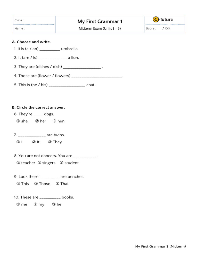 My First Grammar 1 Midterm and Final | PDF