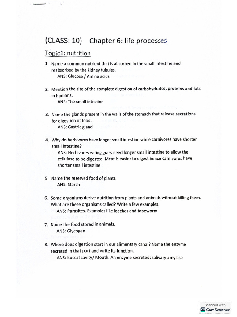 Chapter #5life Processes Objective Type Questions | PDF