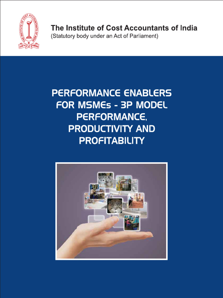 Performance Enablers MSME | PDF | Business Economics | Economies