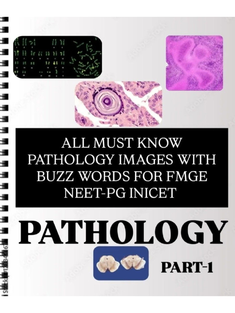 Pathology Images With Buzz Words | PDF