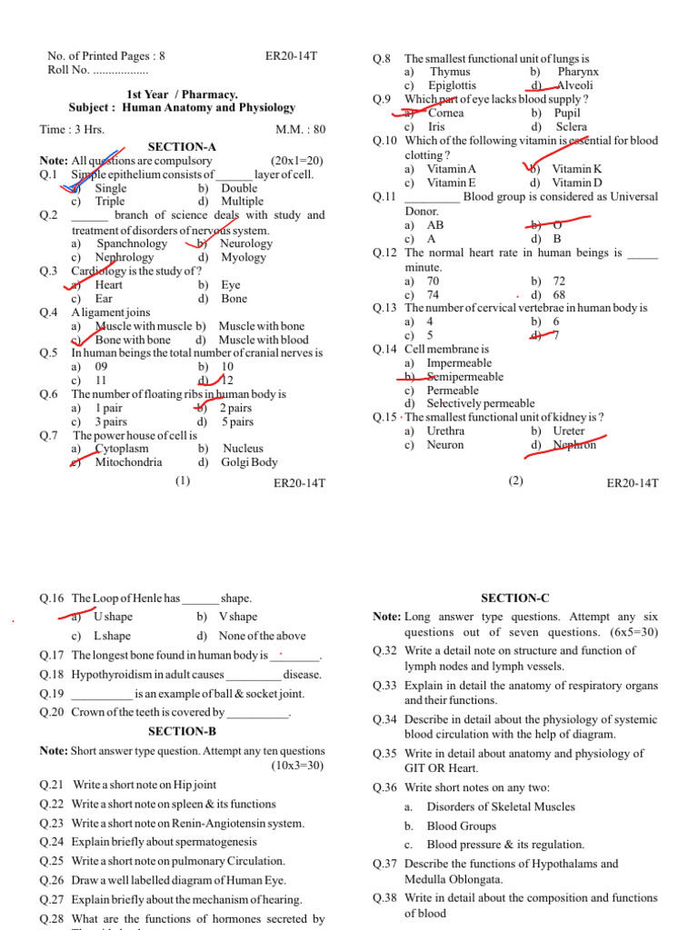 Hap Previous Qp | PDF | Human Body | Anatomy