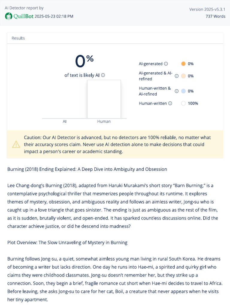 Burning AI Report | PDF