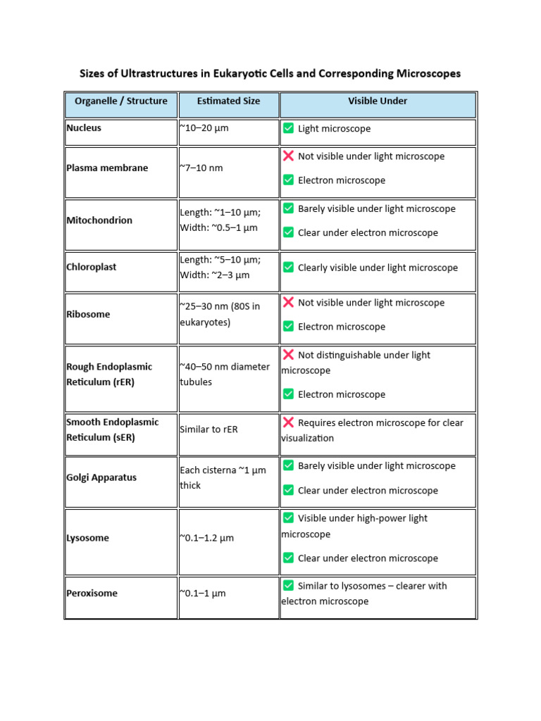 Eukaryotic Cell Ultrastructure Sizes | PDF | Endoplasmic Reticulum ...