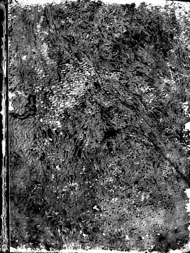 Practical Management of the Teeth | PDF | Human Nose | Anatomy