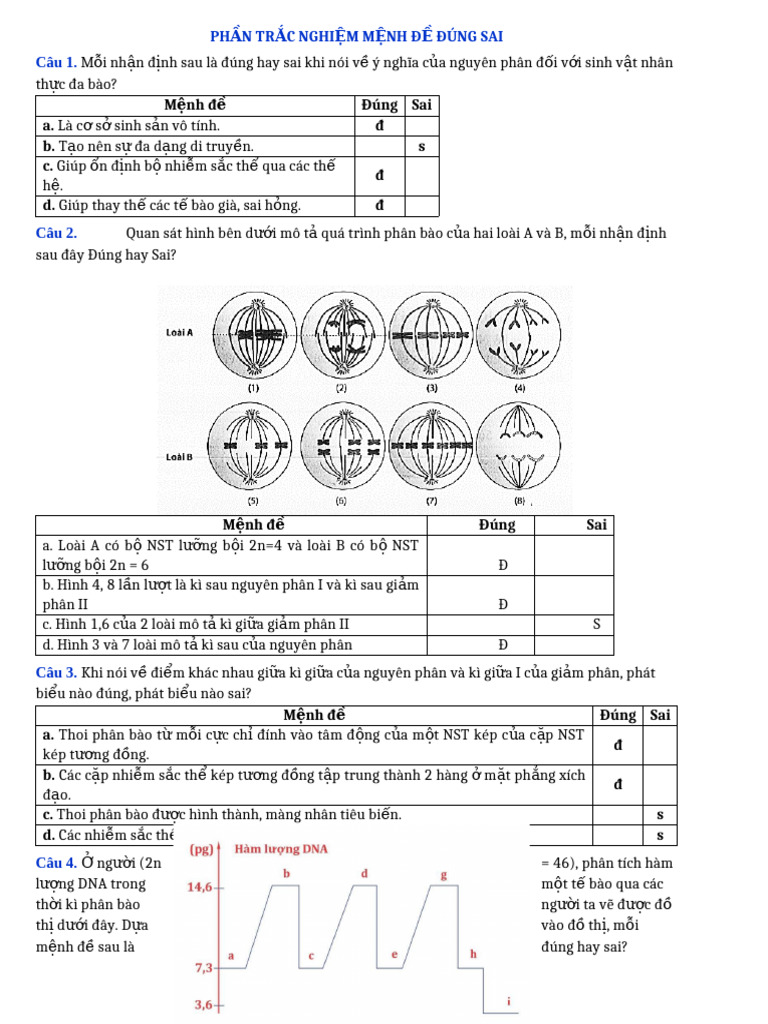 (1) Câu Hỏi Đúng Sai Nguyên Phân Và Giảm Phân Update | PDF