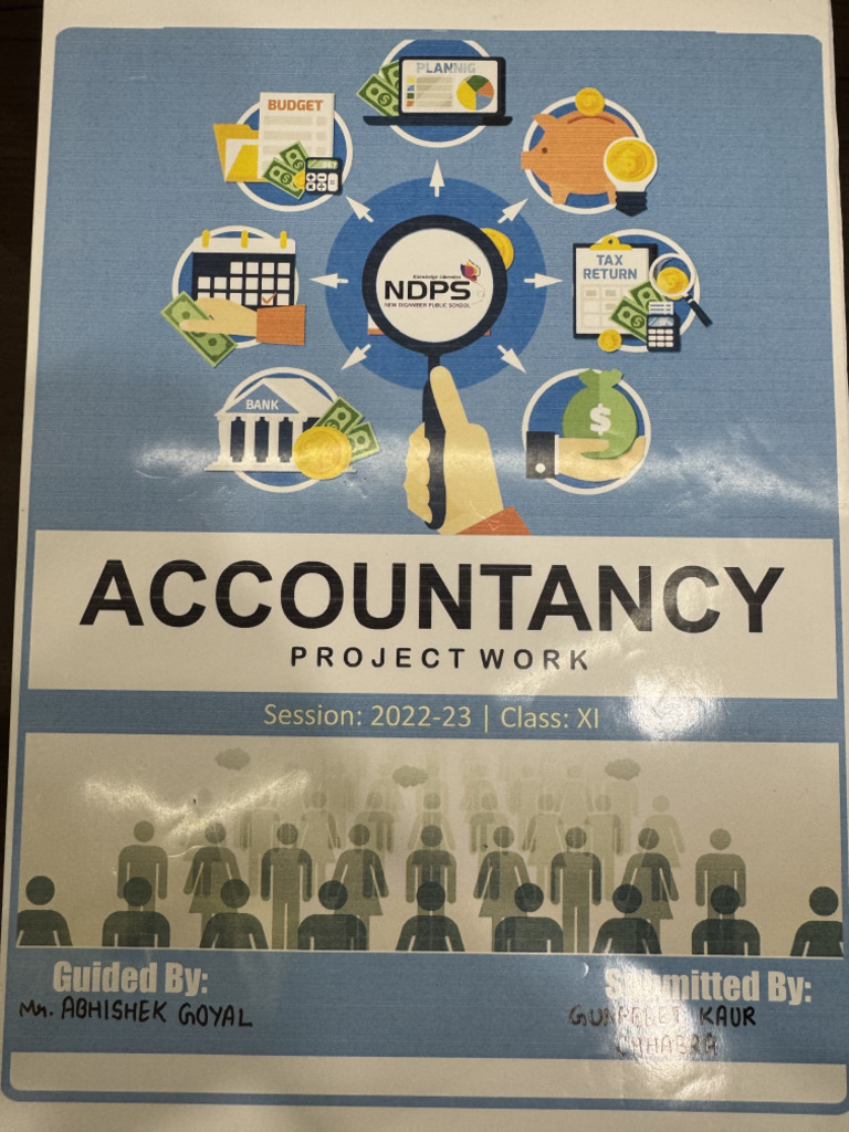 Accountancy Project | PDF