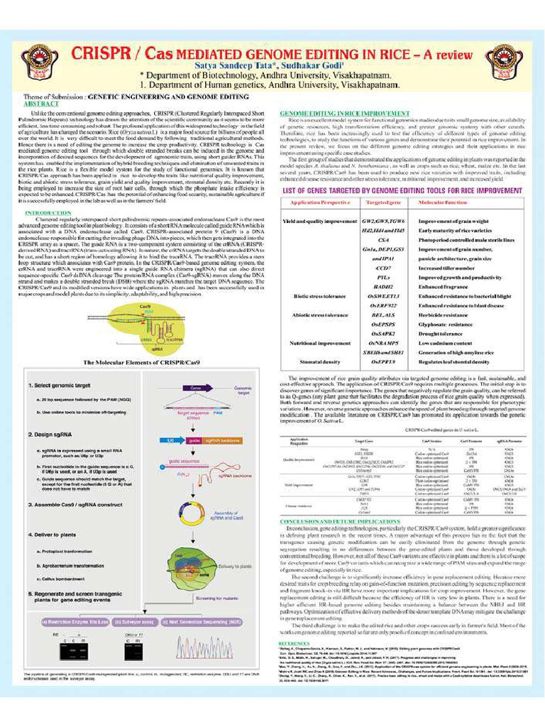 CRISPR Review Poster | PDF