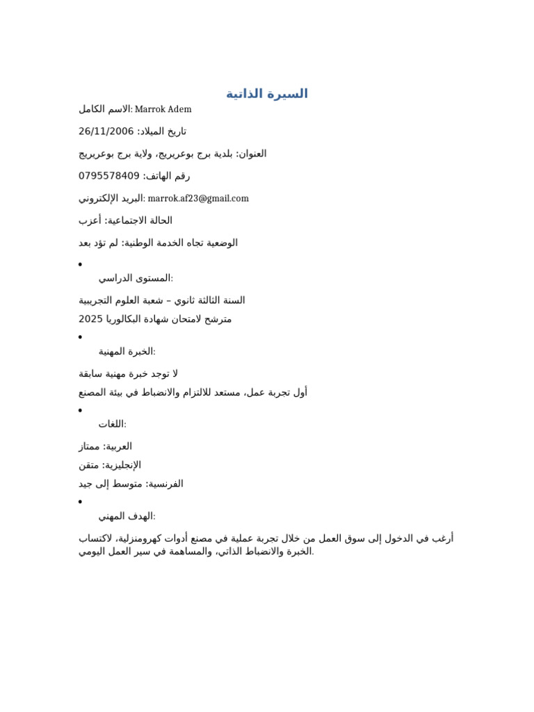 Cv Marrok Adem 3 | PDF