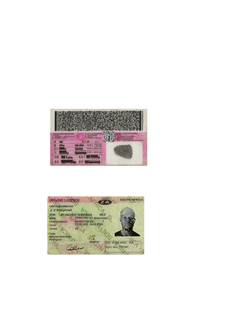 South Africa Permit | PDF
